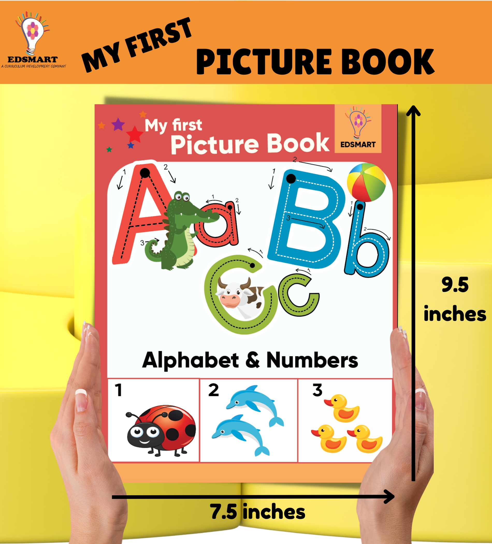 My First Picture Books for Kids - Alphabet ABC picture book and Numbers 123