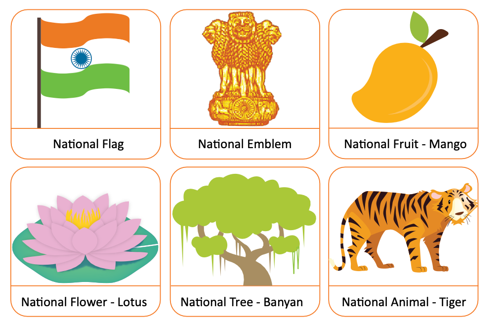 Junior KG Science and General Knowledge books for kids CBSE (Sticker ...